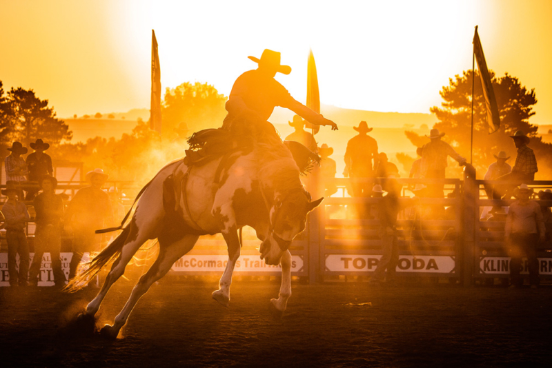 Favourite Photos of 2019 - Outback Magazine : R.M. Williams