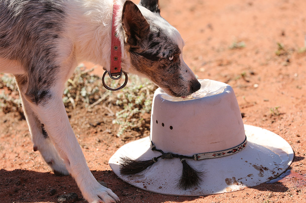 Stations magazine - Outback Magazine : R.M. Williams