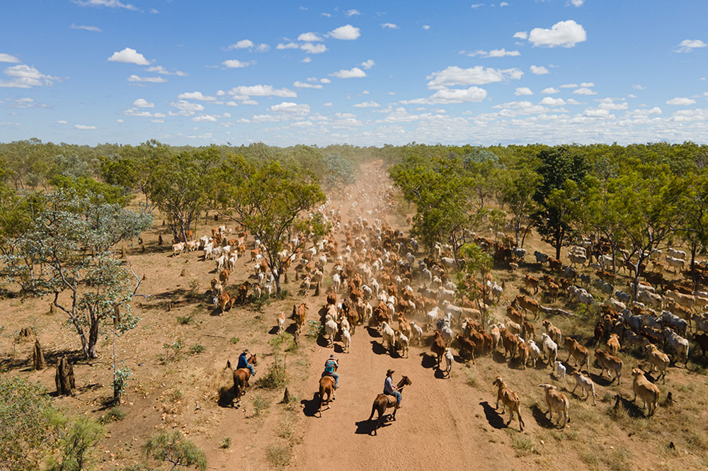 Stations magazine - Outback Magazine : R.M. Williams