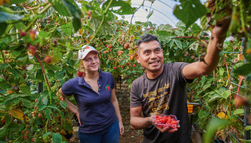Fruits of their labour - Outback Magazine : R.M. Williams