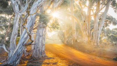 Outback Magazine : R.M. Williams - Outback Magazine : R.M. Williams
