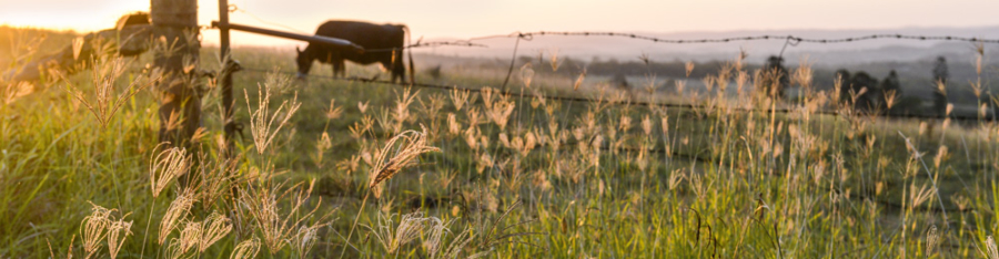 About - Outback Magazine : R.M. Williams