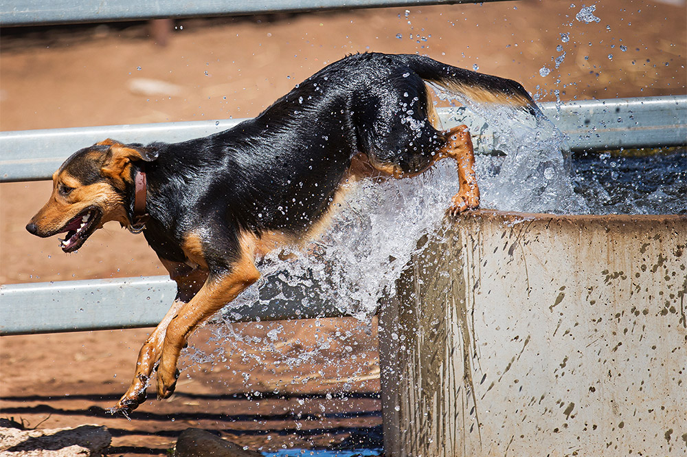 Outback Stations: Pastoral Australia - Outback Magazine : R.M. Williams
