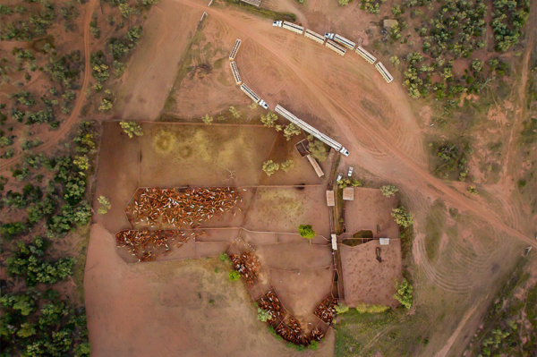 Outback Stations: Pastoral Australia - Outback Magazine : R.M. Williams